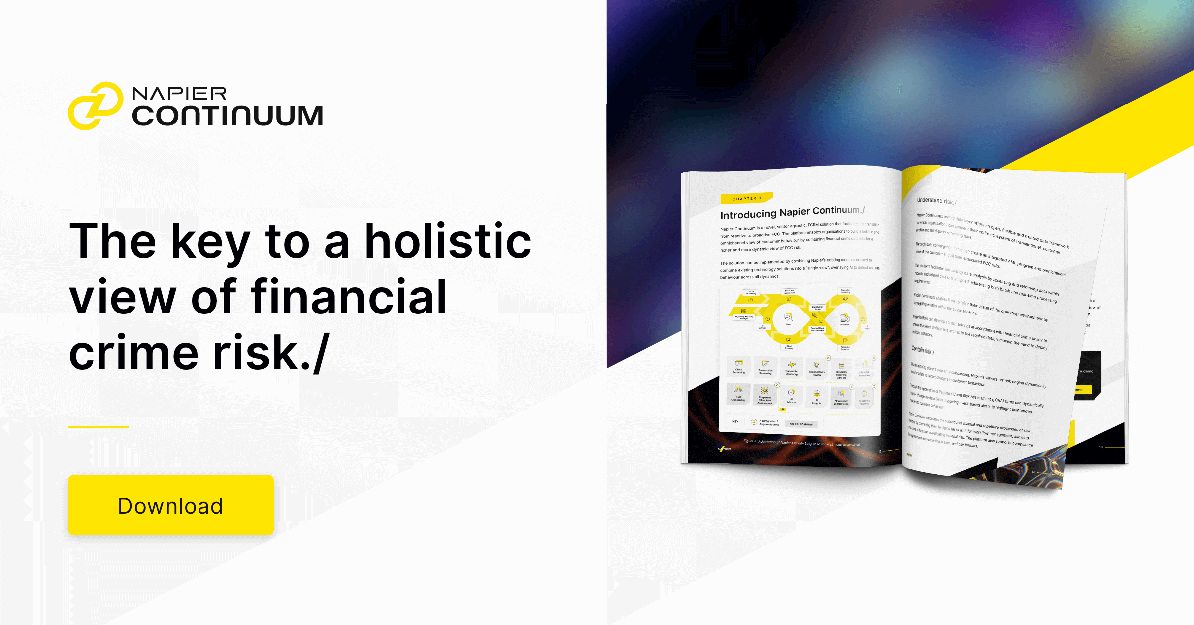 Napier Continuum: the key to a holistic view of financial crime risk