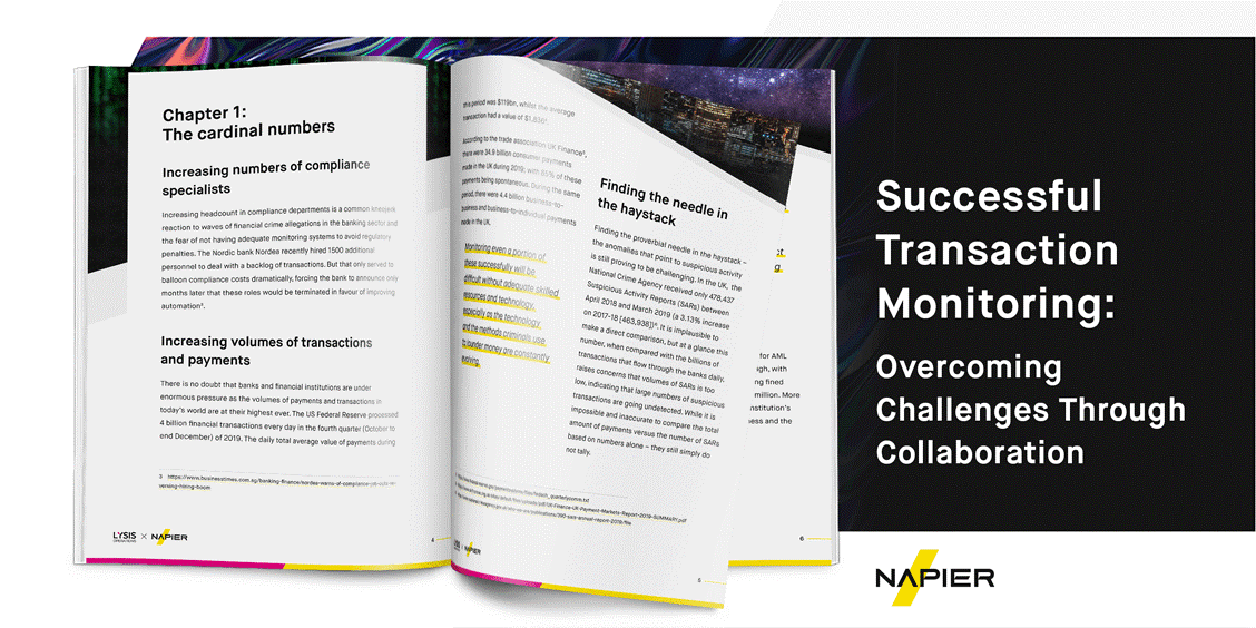 Successful Transaction Monitoring Whitepaper