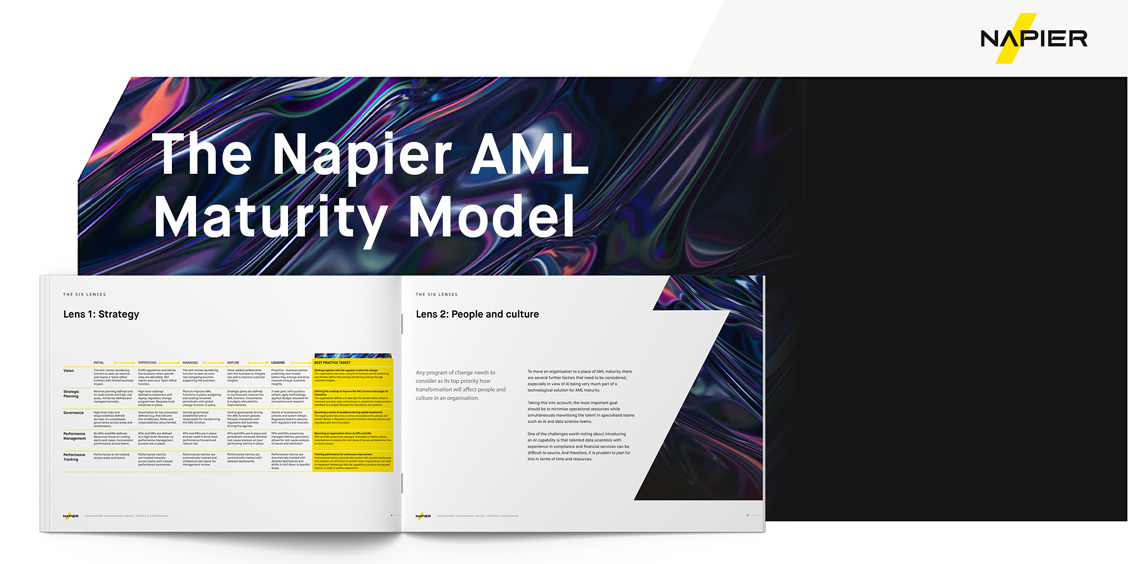 The Napier AML Maturity Model.